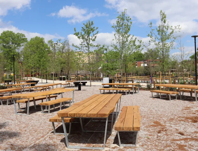 Picnic Grove | Dix Park